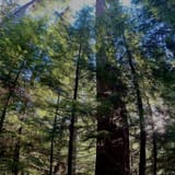 Colonel Bob Trail, Washington - 162 Reviews, Map | AllTrails