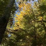 Colonel Bob Trail, Washington - 162 Reviews, Map | AllTrails