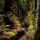 Colonel Bob Trail, Washington - 162 Reviews, Map | AllTrails