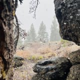 Tahoe Rim Trail to Picnic Rock Viewpoint, California - 3,130 Reviews, Map | AllTrails