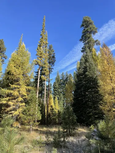 Best Hikes and Trails in Metolius Preserve | AllTrails