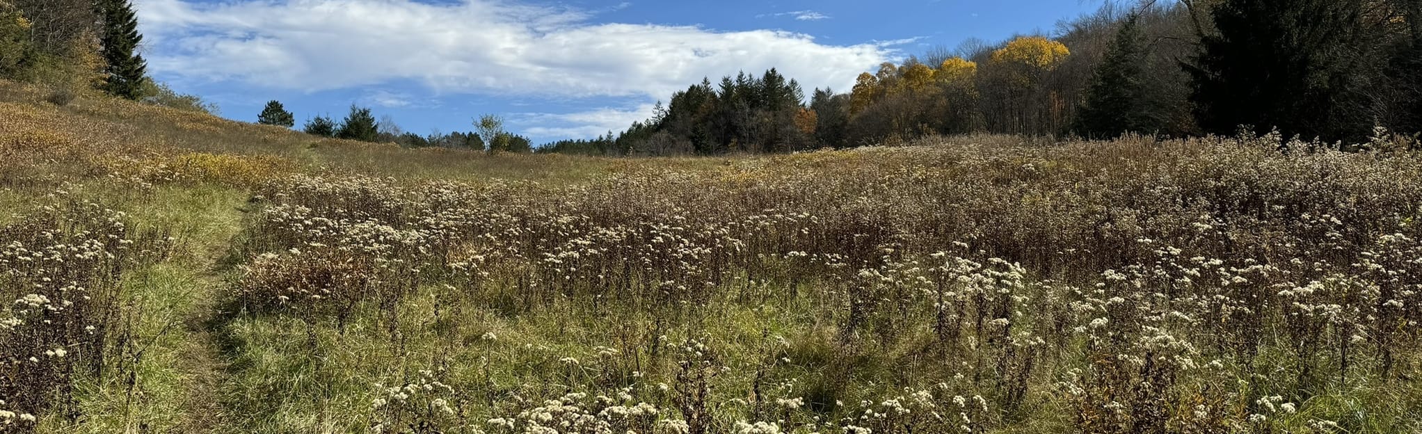 Dobbin House and Pase Point Trail Loop, West Virginia - 129 Reviews ...