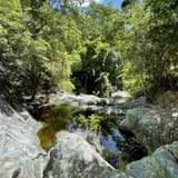 Reef Bay Trail, Saint John, US Virgin Islands - 876 Reviews, Map ...
