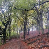 Anglezarke Reservoir, Lancashire, England - 480 Reviews, Map | AllTrails
