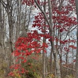 Ocean Path Trail, Maine - 3,373 Reviews, Map | AllTrails