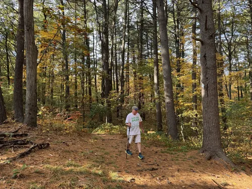 Best Hikes and Trails in Sally Milligan Park | AllTrails