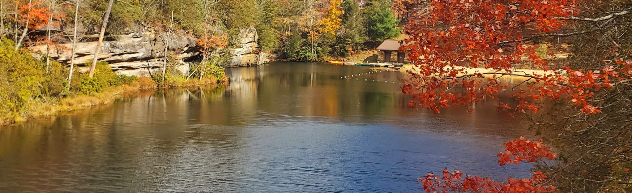 Pickett Natural Bridge Trail, Tennessee - 60 Reviews, Map | AllTrails