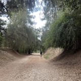 Fullerton Loop Trail, California - 4,865 Reviews, Map | AllTrails