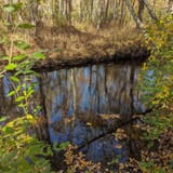 Pawcatuck River Loop, Rhode Island - 167 Reviews, Map | AllTrails