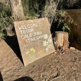 Fullerton Loop Trail, California - 4,865 Reviews, Map | AllTrails