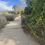 Fullerton Loop Trail, California - 4,865 Reviews, Map | AllTrails