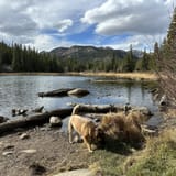 Caribou Ranch Trail, Colorado - 1,389 Reviews, Map | AllTrails