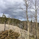 Caribou Ranch Trail, Colorado - 1,419 Reviews, Map | AllTrails