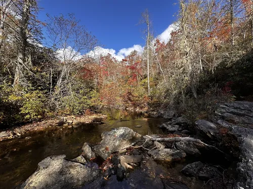 Best Hikes and Trails in Mills River | AllTrails