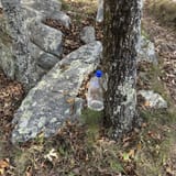 Cheaha Wilderness 30 Mile Loop, Alabama - 75 Reviews, Map | AllTrails