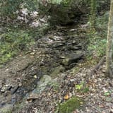 Cheaha Wilderness 30 Mile Loop, Alabama - 75 Reviews, Map | AllTrails