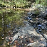 Cheaha Wilderness 30 Mile Loop, Alabama - 75 Reviews, Map | AllTrails