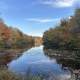 Farmsite Simmons Pond Loop, Rhode Island - 576 Reviews, Map | AllTrails