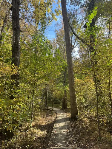 Best Hikes and Trails in Bacon Ridge Natural Area | AllTrails