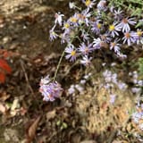 Fonta Flora Trail Loop, North Carolina - 1,490 Reviews, Map | AllTrails