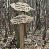 Fonta Flora Trail Loop, North Carolina - 1,490 Reviews, Map | AllTrails