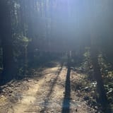 Fonta Flora Trail Loop, North Carolina - 1,490 Reviews, Map | AllTrails