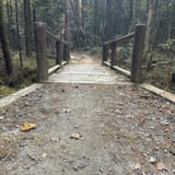 Fonta Flora Trail Loop, North Carolina - 1,490 Reviews, Map | AllTrails