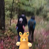 Penokee Mountain Range Overlook, Wisconsin - 22 Reviews, Map | AllTrails