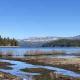 Sagehen Creek Loop, California - 949 Reviews, Map | AllTrails