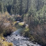 Sagehen Creek Loop, California - 949 Reviews, Map | AllTrails