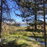 Sagehen Creek Loop, California - 949 Reviews, Map | AllTrails