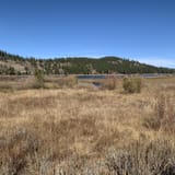 Sagehen Creek Loop, California - 852 Reviews, Map | AllTrails