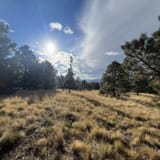 Aspen Nature Loop, Arizona - 2,035 Reviews, Map | AllTrails