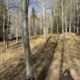 Aspen Nature Loop, Arizona - 2,035 Reviews, Map | AllTrails