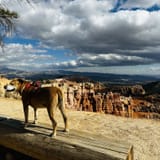 Bryce Point to Sunset Point Trail, Utah - 829 Reviews, Map | AllTrails