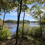 Leach Pond Trail, Massachusetts - 2,241 Reviews, Map | AllTrails