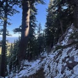 Gray Butte Trail, California - 203 Reviews, Map | AllTrails