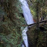 Murhut Falls Trail, Washington - 885 Reviews, Map | AllTrails