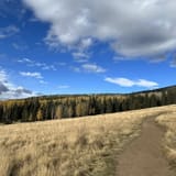 Aspen Nature Loop, Arizona - 2,035 Reviews, Map | AllTrails