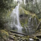 Proxy Falls Loop, Oregon - 1,197 Reviews, Map | AllTrails