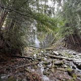 Proxy Falls Loop, Oregon - 1,197 Reviews, Map | AllTrails