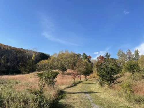 Best Hikes and Trails in Shaupeneak Ridge Park | AllTrails