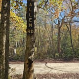 Batona Trail: Rt 563 to Bass River (Southern Trailhead), New Jersey ...