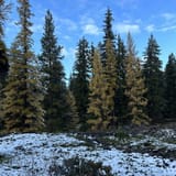 Manastash Lake Trail, Washington - 276 Reviews, Map | AllTrails