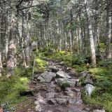 Carter Range Loop, New Hampshire - 209 Reviews, Map | AllTrails