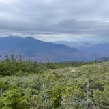 Carter Range Loop, New Hampshire - 209 Reviews, Map | AllTrails