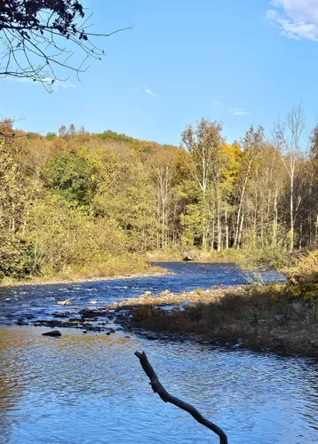 Best Hikes and Trails in Pinebrook Park | AllTrails