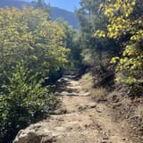 Wapama Falls Trail, California - 1,718 Reviews, Map | AllTrails