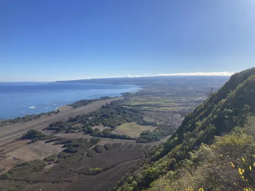 Best Hikes and Trails in Mokuleia Forest Reserve | AllTrails