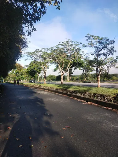 Best Hikes and Trails in Hutan Simpan Bukit Perangin | AllTrails